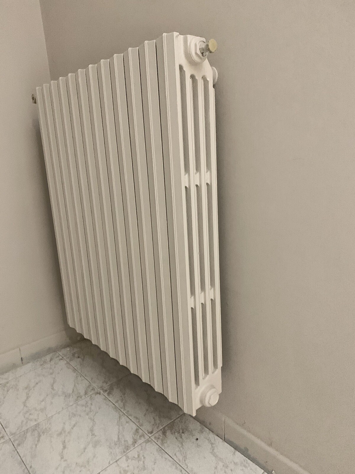 radiatori in ghisa | eBay