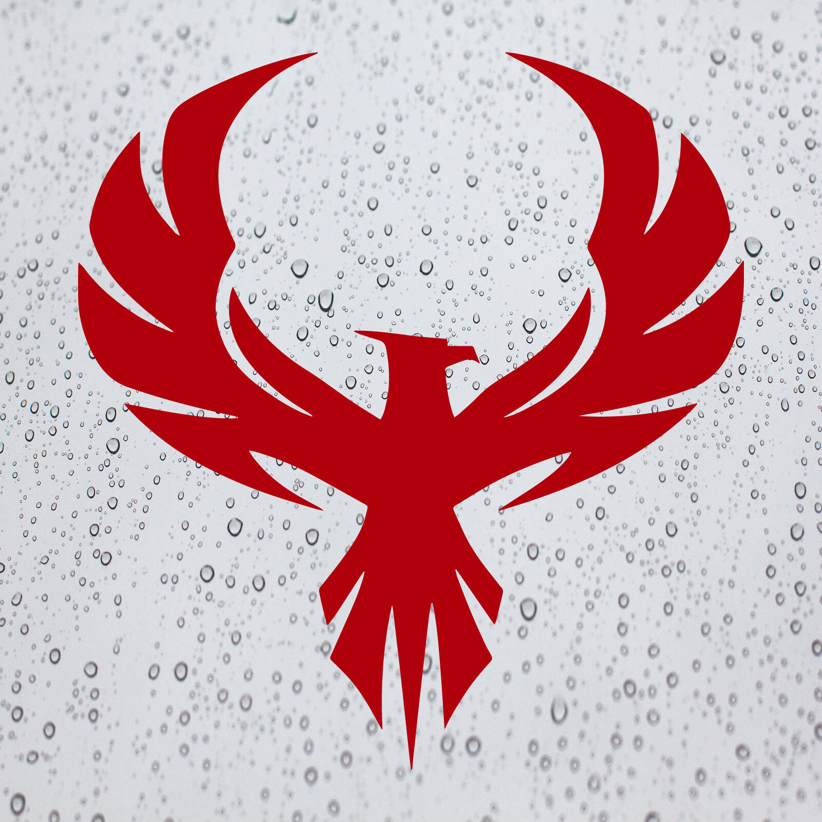 PHOENIX BIRD RISING Decal Vinyl Sticker for Car Bumper Window Door ...