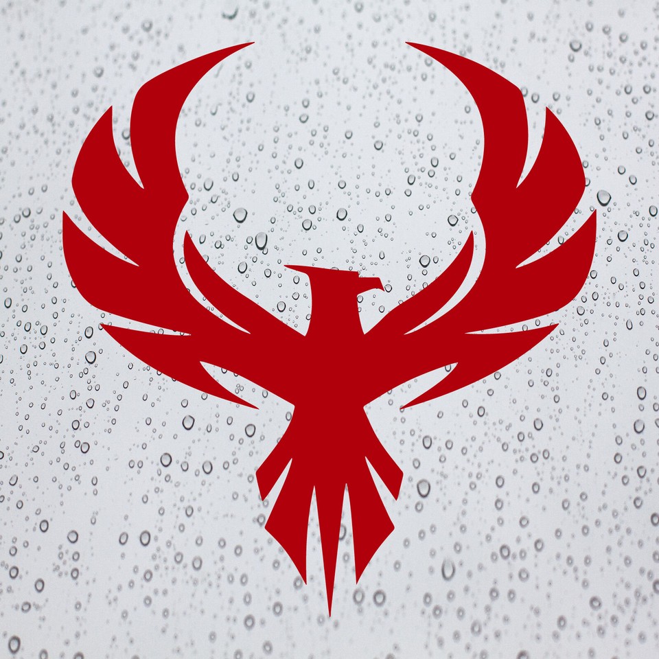 PHOENIX BIRD RISING Decal Vinyl Sticker for Car Bumper Window Door ...