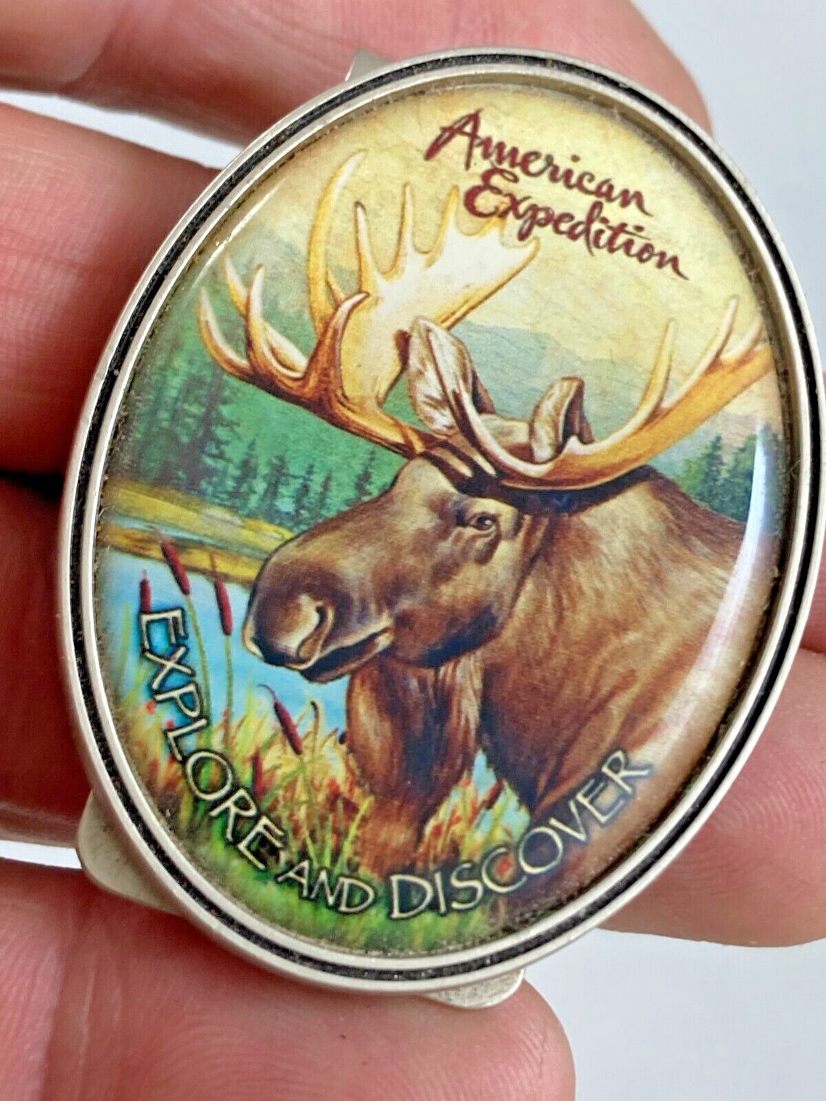 American Expedition Wildlife Moose Money Clip Explore & Discover MOOSE ...