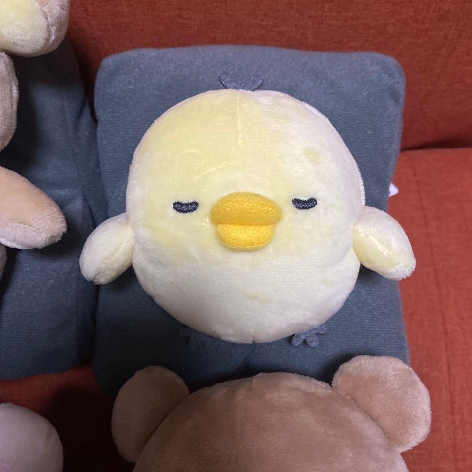 Rilakkuma Basic Rilakkuma stuffed animal to relax at home | eBay Australia