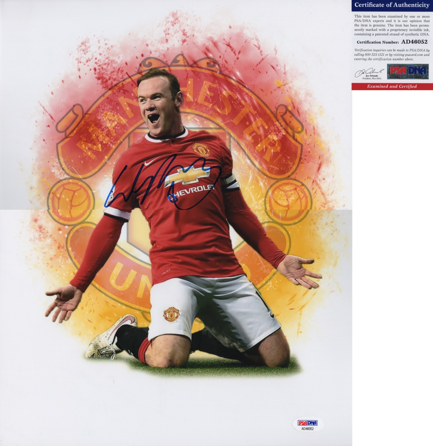 Wayne Rooney Autographed Memorabilia | Signed Photo, Jersey ...