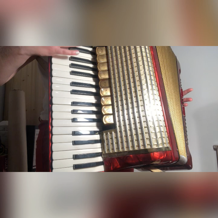 Akkordeon Hohner Rot Verdi III M 120 Bass Register 9 mit Koffer | eBay.de