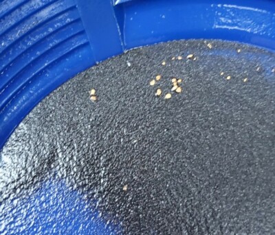 Gold Paydirt Raw Panning Material 4 Lbs. Guaranteed Unsearched Gold ...