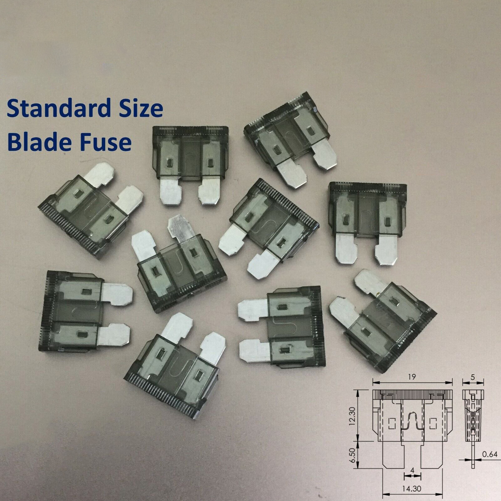 10 Pcs 2A Standard Blade Fuses - Grey Car Truck Auto Fuses 2 Amp Fuse ...