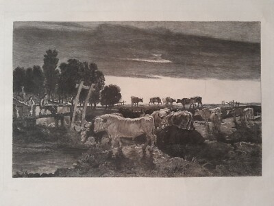 MURRAY AFTER JAMES WARD RA FINE SIGNED ETCHING CATTLE IN REGENTS PARK ...
