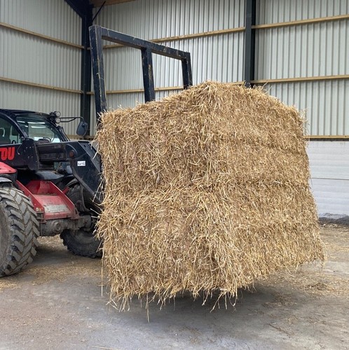 Wheat Straw Bales 6 string large bales | eBay