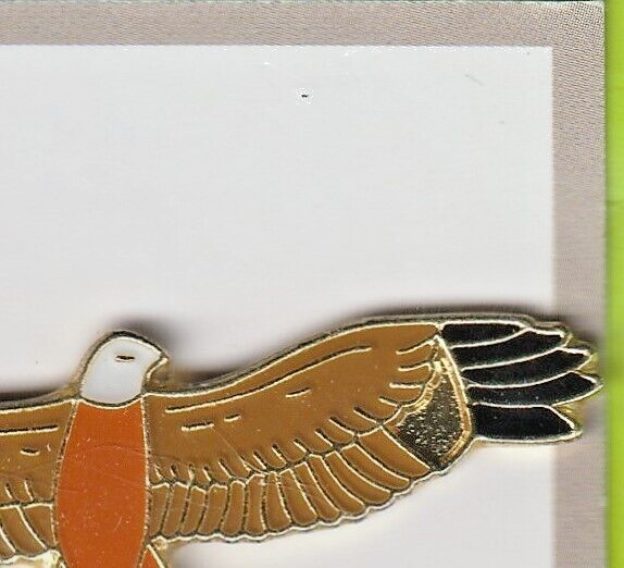 RSPB Pin Badge - Red Kite - RARE white missing on right wing - gnah ...