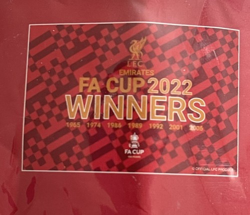 LFC car flags 2 pack Liverpool FC 2022 winners new e34 | eBay