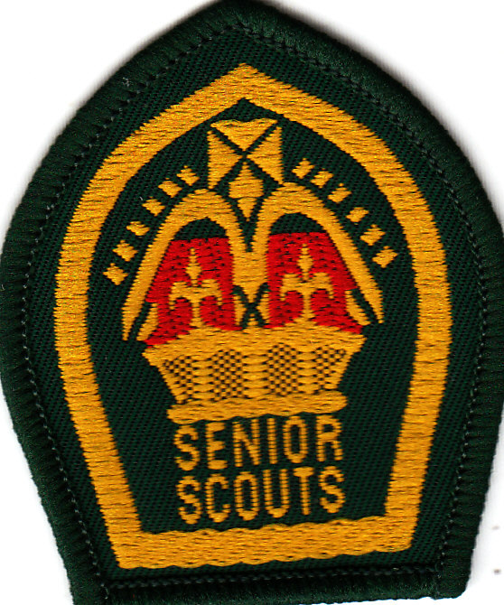 Boy Scout Badge 1960`s repro SENIOR SCOUTS QUEEN Scout Award | eBay UK