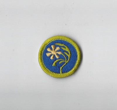 Boy Scouts of America BSA Botany Discontinued Merit Type H Patch Badge ...