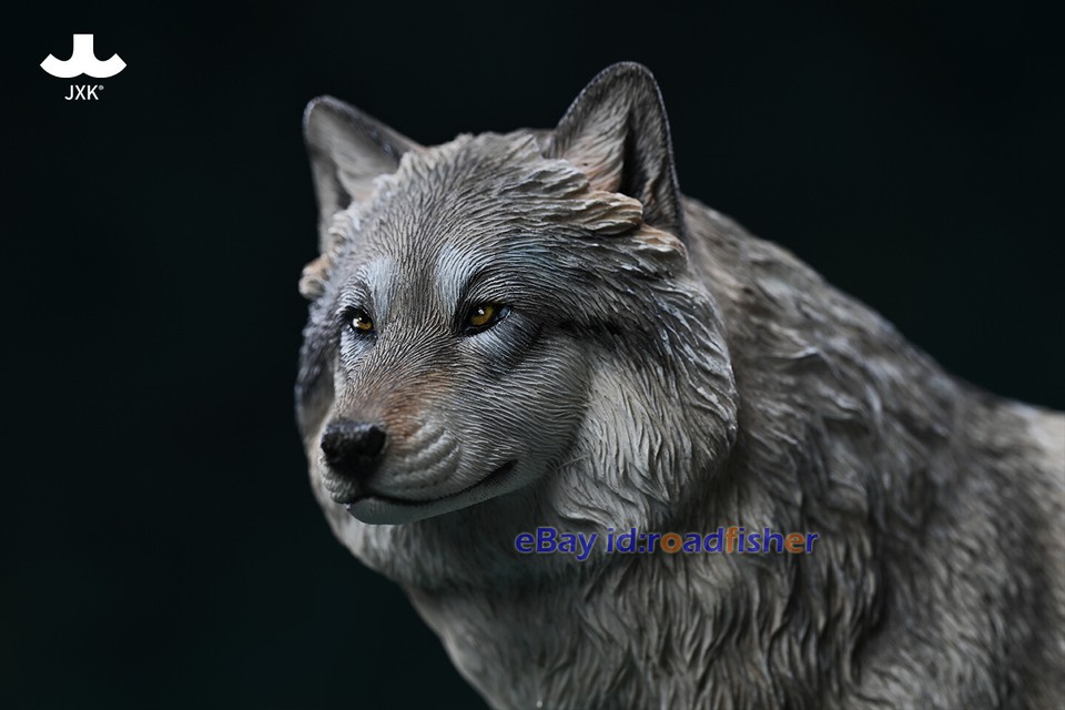 JXK 1/6 Arctic Wolf Model Canis Lupus Arctos Figure Wild Animal Decor ...