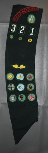 Vtg. Girl Scouts of America Sash w Merit Badges - GSA Michigan Pine ...