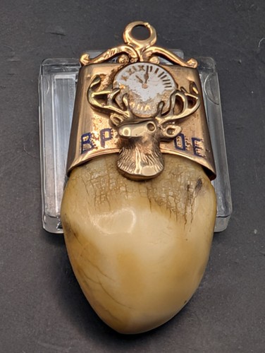 🔥 ANTIQUE 14K SOLID GOLD B.P.O.E ELK TOOTH PENDANT POCKET FOB SIGNED 5. ...