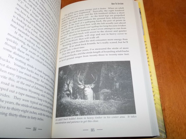 Mule Deer Quest : Thirty-Five Years of Observation and Hunting Mule ...