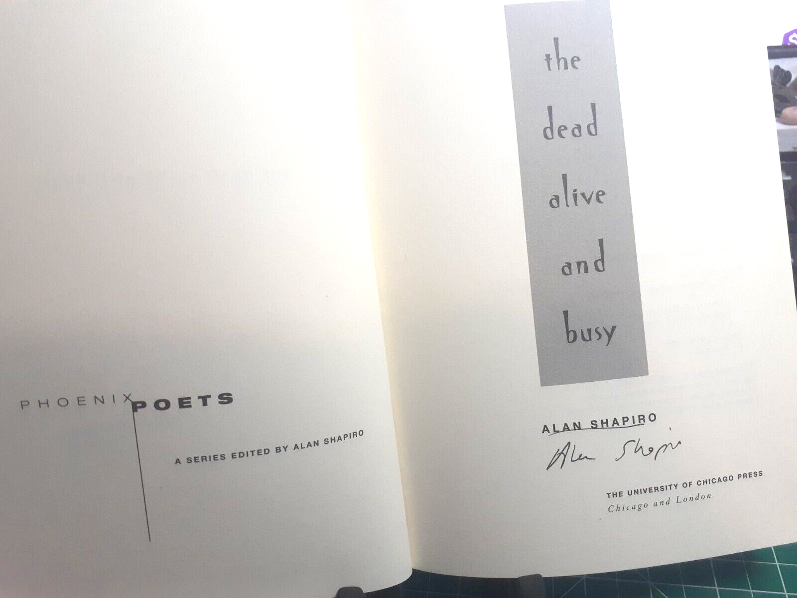 The Dead Alive and Busy Signed by Alan Shapiro Author (Phoenix Poets ...