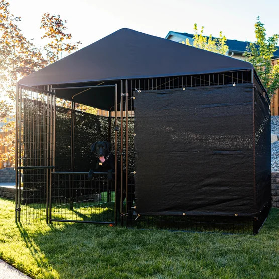 Lucky Dog STAY Series Presidential Dog Kennel 10'x10' with Privacy ...