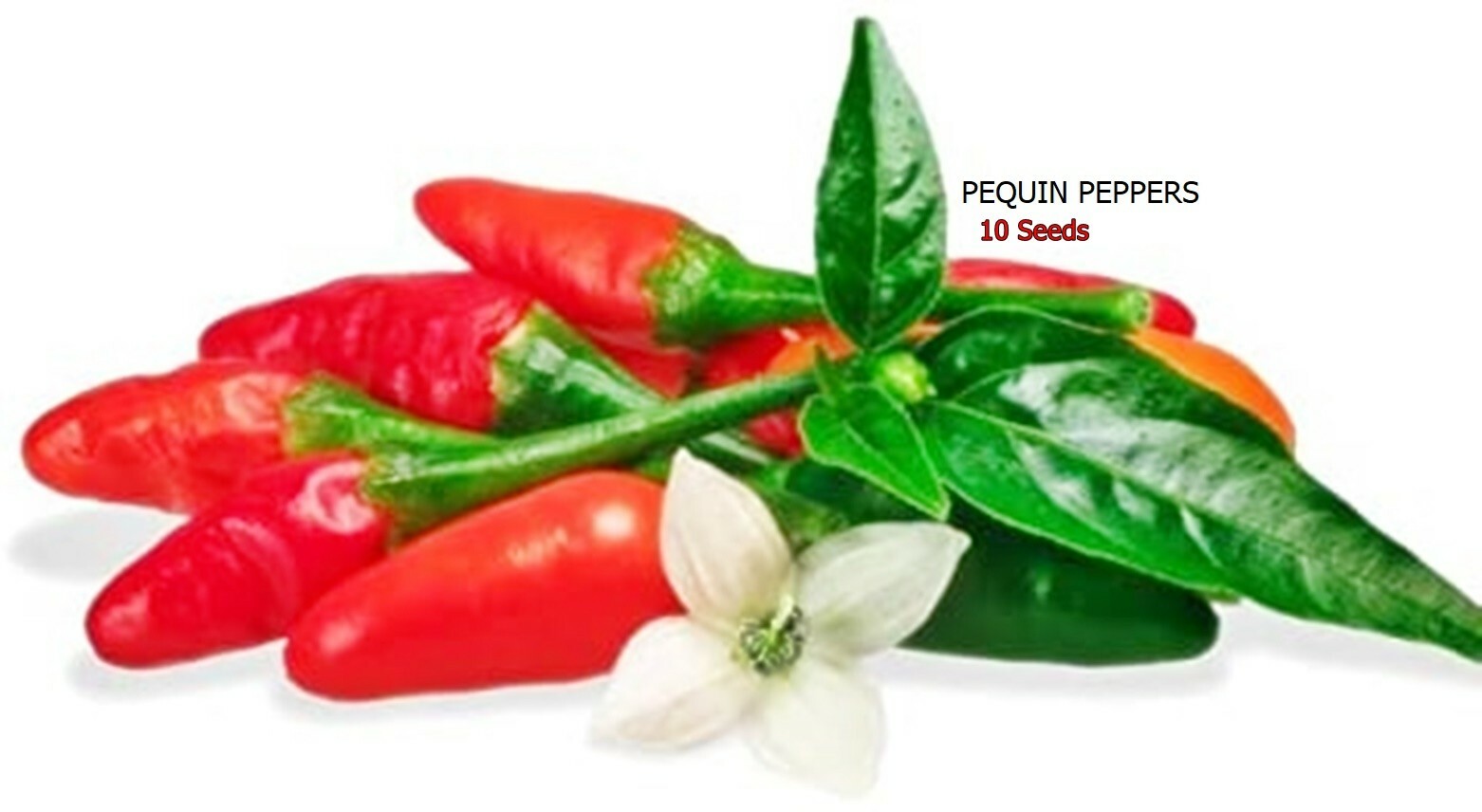 Pequin Pepper Seeds (40 Seeds) | eBay