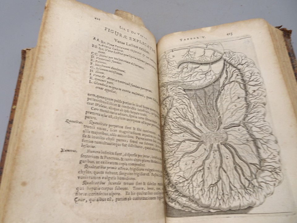 ANATOMIA.Ex Casparis Bartholini.Anatomie,par Thomas Bartholin.Vlack ...