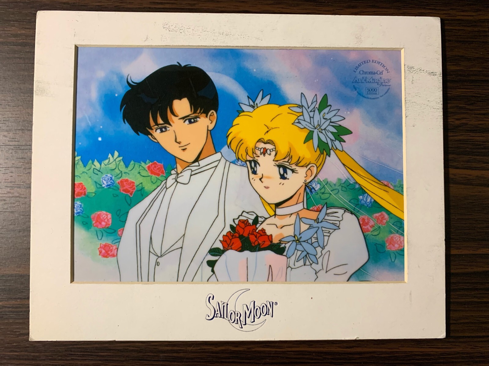Tuxedo Mask And Sailor Moon Wedding