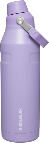 Stanley IceFlow Fast Flow Water Bottle 16-50 OZ | Angled Spout Lid ...