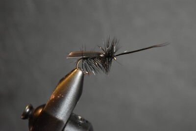 BLACK SEDGE Dry Fly Fishing Flies, 1 Fly, You Choose Size | eBay
