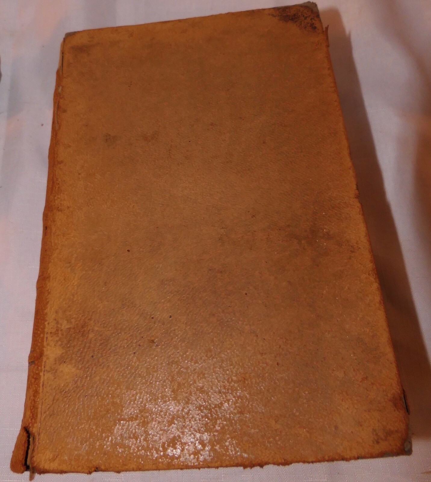 ANTIQUARIAN BOOK COPIOUS AND CRITICAL LATIN ENGLISH LEXICON E.A ...