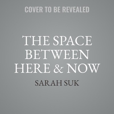 The Space Between Here & Now by Sarah Suk | eBay