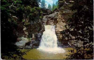 Linville Falls Western North Carolina Postcard N.C. to Texas 1964 ...