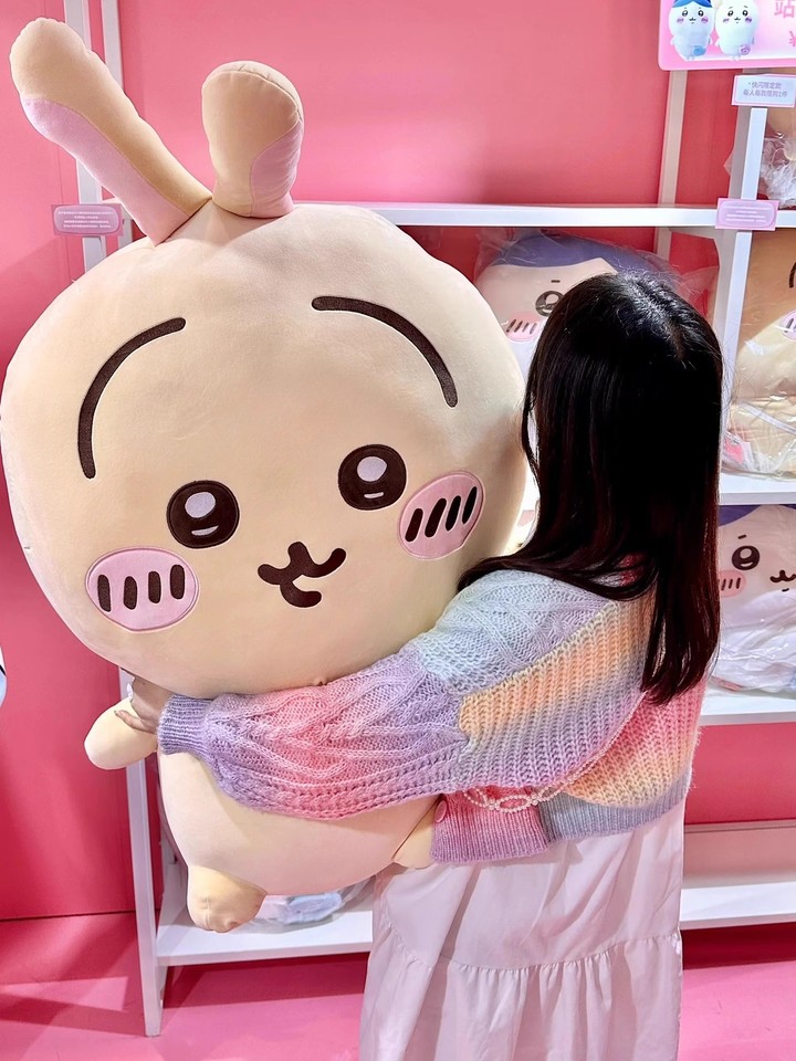 Chiikawa Big Plush Doll Hachiware Usagi Soft Plushie Pillow Cushion ...