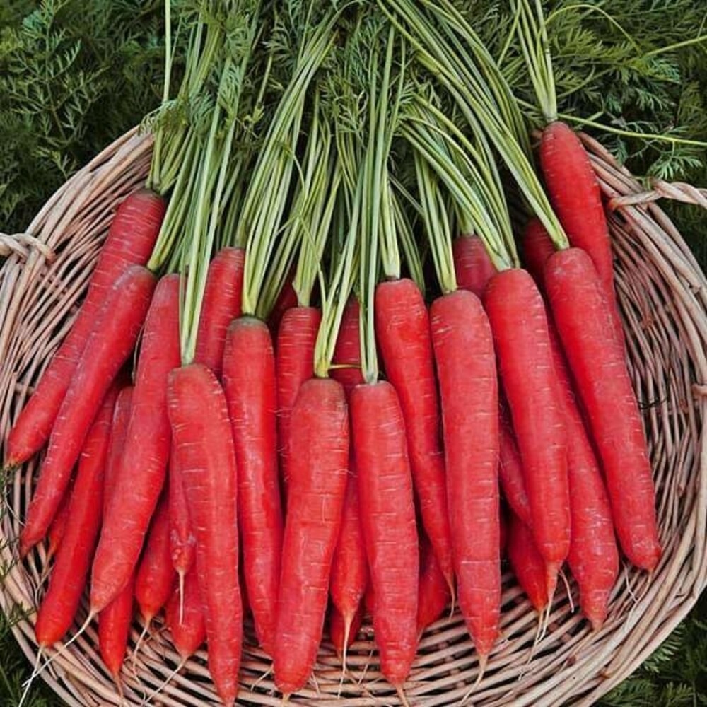 Atomic Red Carrots