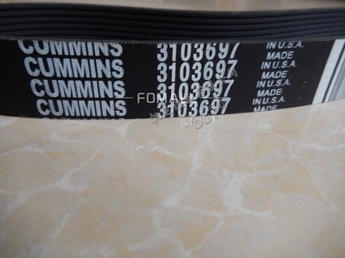 1 PCS New 3103697 Cummins Fan Belt For QSM11 | eBay