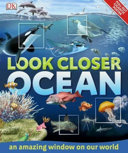 Look Closer Book