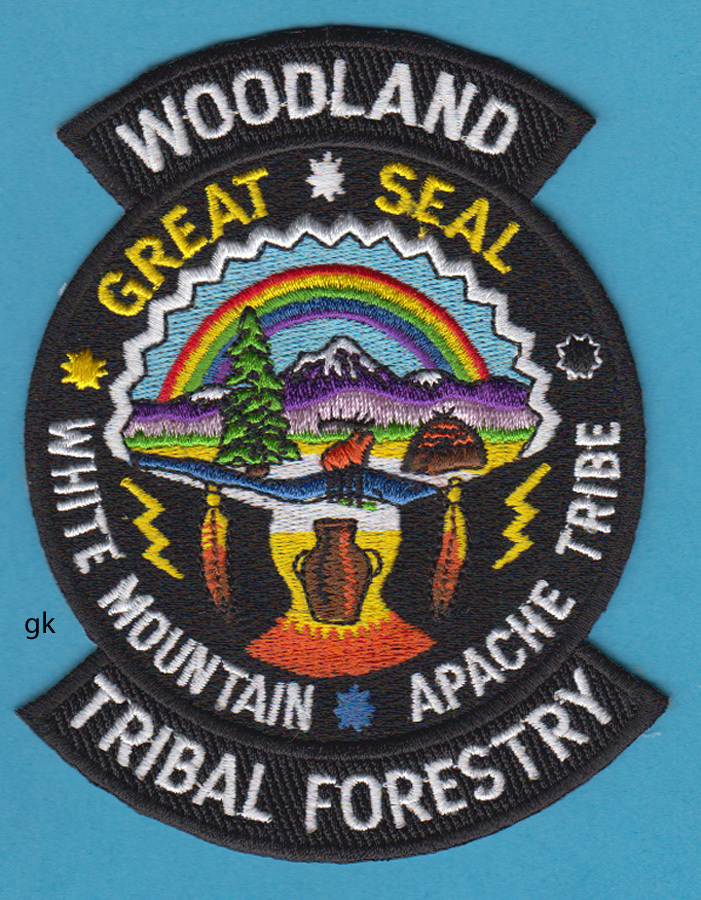 Apache Tribe Symbols Indian Apache Tribe Logo Icon Design 36437200