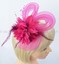 Spring Racing Race Party Melbourne Cup Feather Fascinator Headband ...