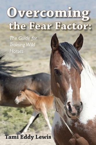 Overcoming the Fear Factor by Tami Lewis (2010, Trade Paperback) for ...