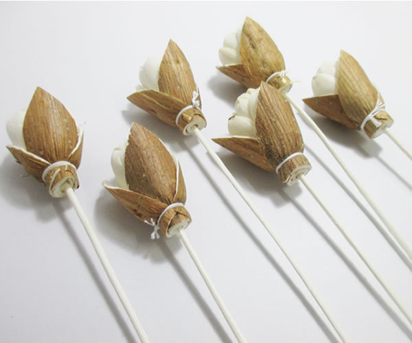 Artificial Ginger Dried Flower Reed Diffuser Decor DIY Fragrance Lot ...