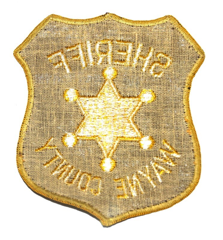 WAYNE COUNTY MICHIGAN MI Sheriff Police Patch VINTAGE OLD MESH USED | eBay