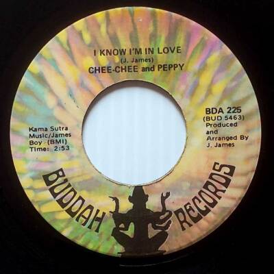 Chee Chee and Peppy - I Know I'm In Love / My Love Will Never Fade Away ...