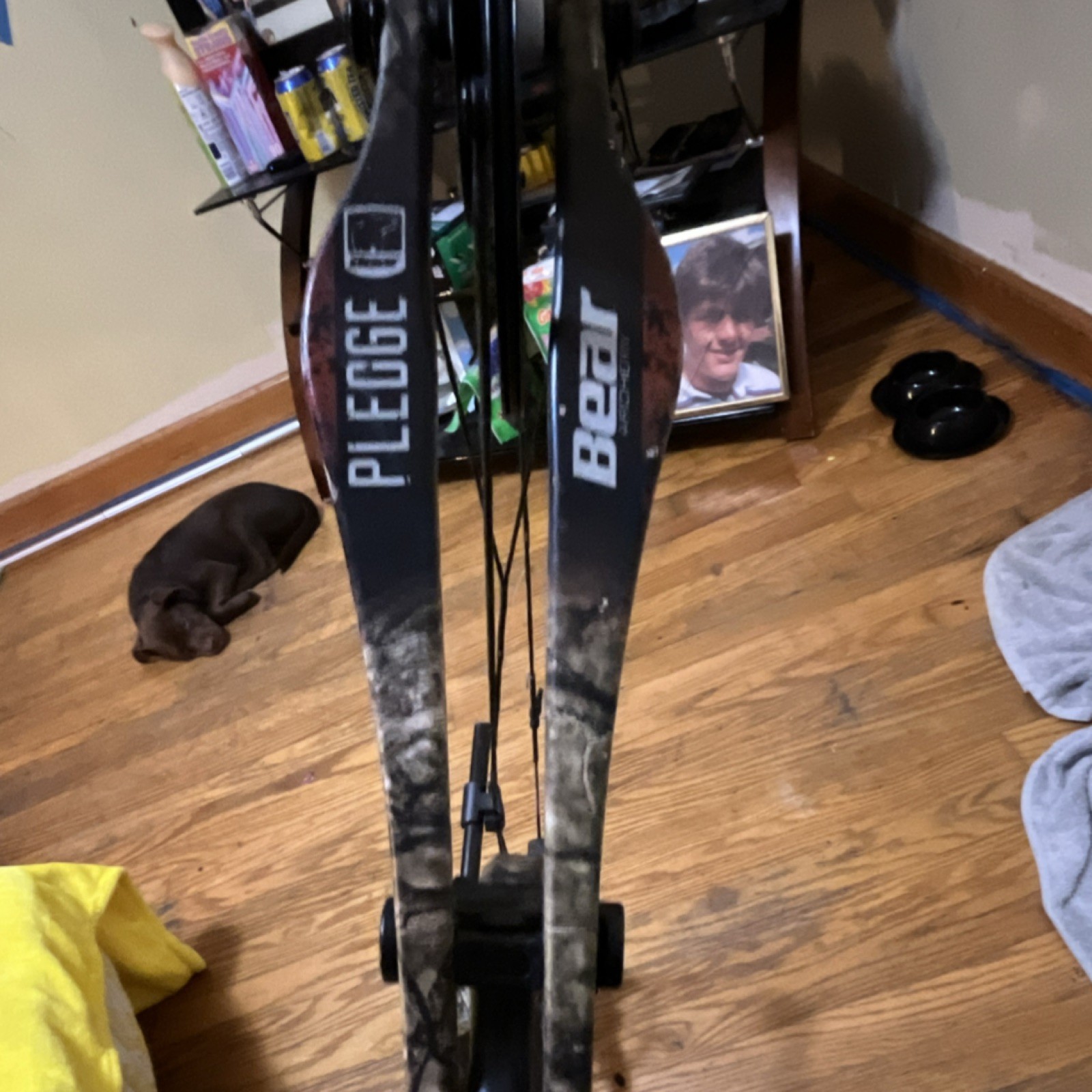 Bear Archery Pledge Compound Bow Camo Black for Men Hunting Archery ...