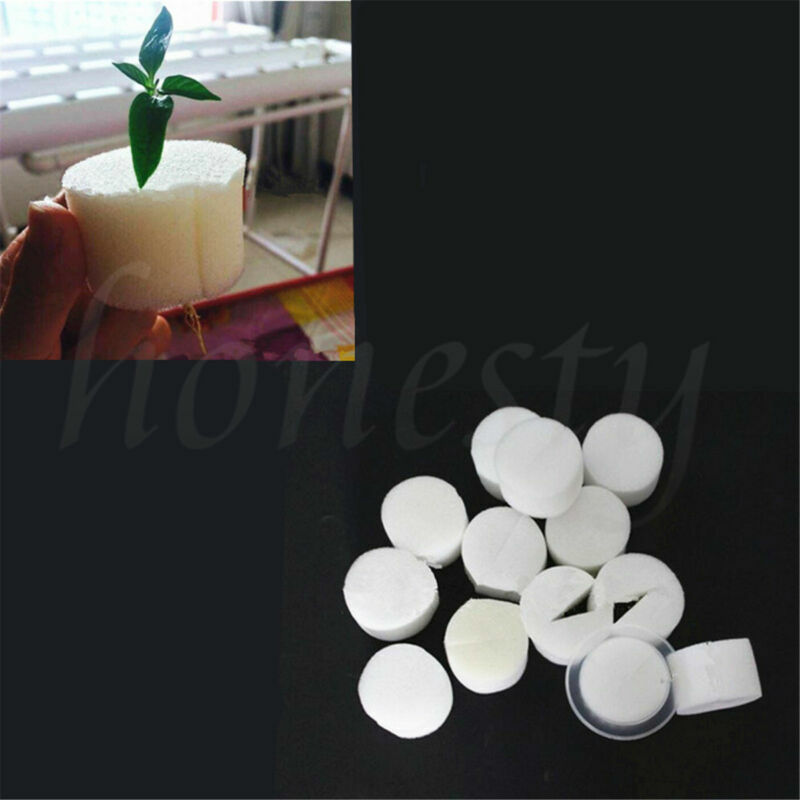 100pcs White Clone Cloning Collar Sponge Insert Hydroponic Root Guard ...