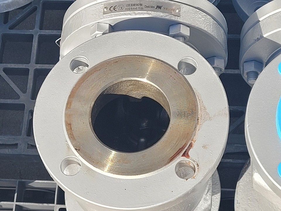 3'' Neway 150# Carbon Steel Flanged Swing Check Valve Raised Face | eBay