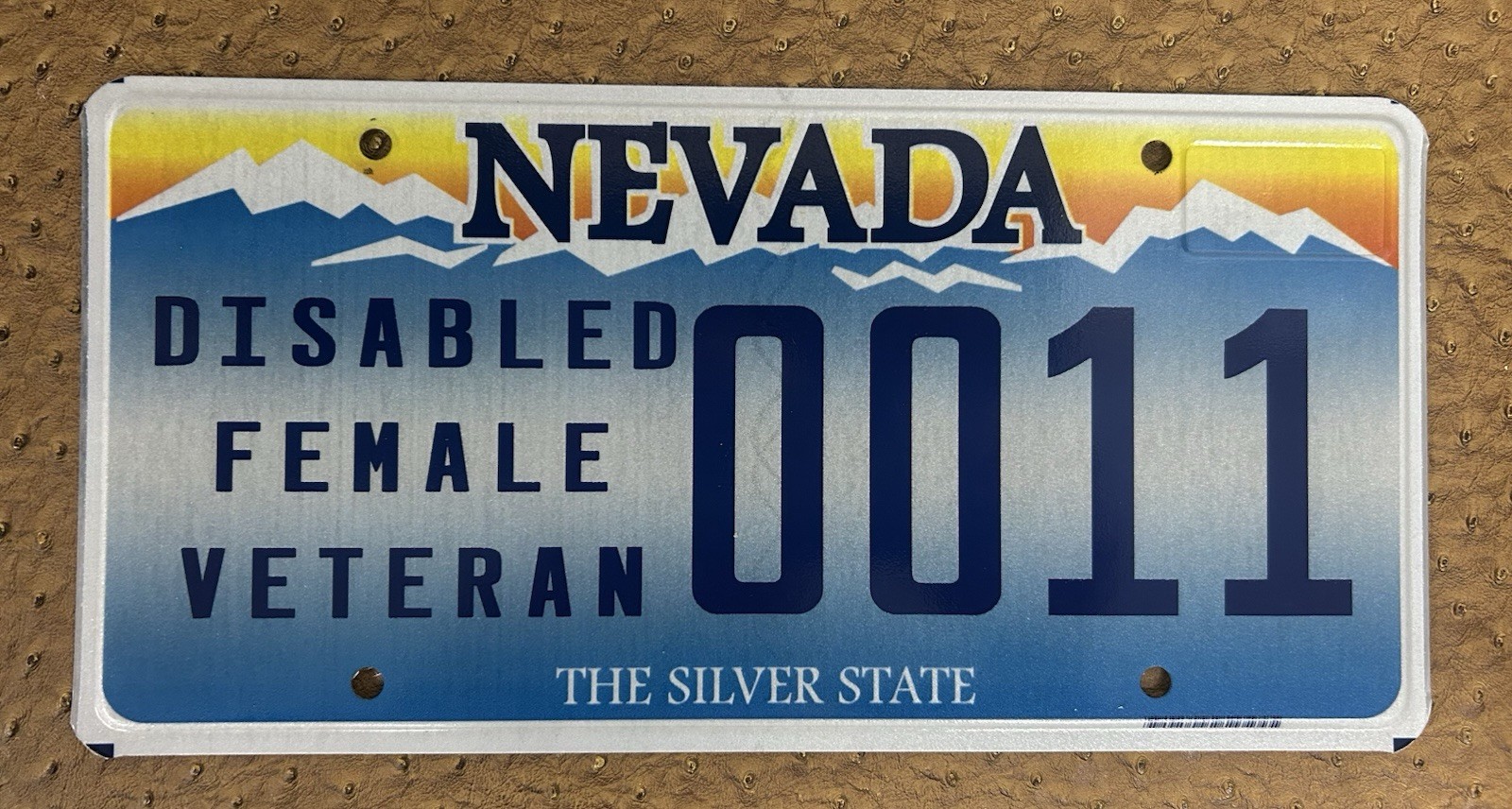 Nevada Disabled Female Veteran License Plate 10+ Yrs Old, Low # 0011 | eBay