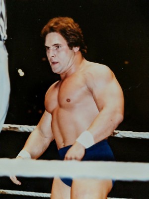 Rick McGraw WWWF 3X5 Color IN RING ACTION Photo | eBay