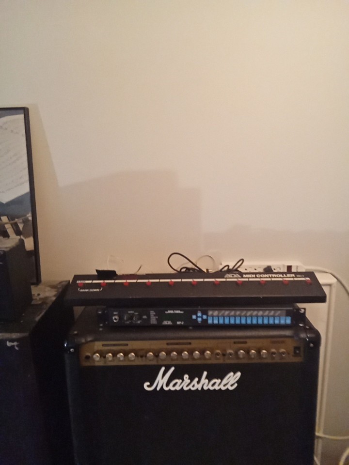 ADA MP2 Tube Guitar Preamp | eBay