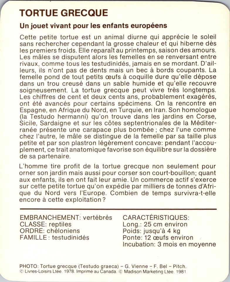 Dr Jim Stamps Maximum Card Forever USA Pets Tortoises First Day Issue ...