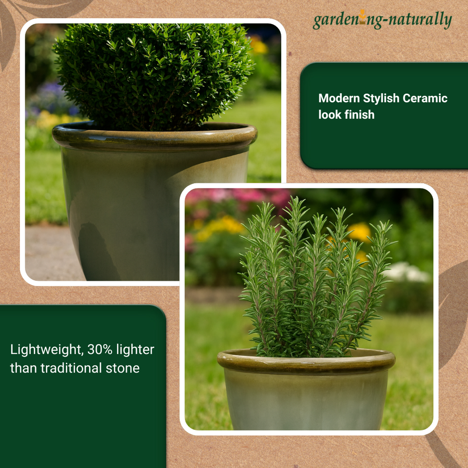 Pot Planter Glazed Olive Green Lightweight Glazed Effect Planter For ...
