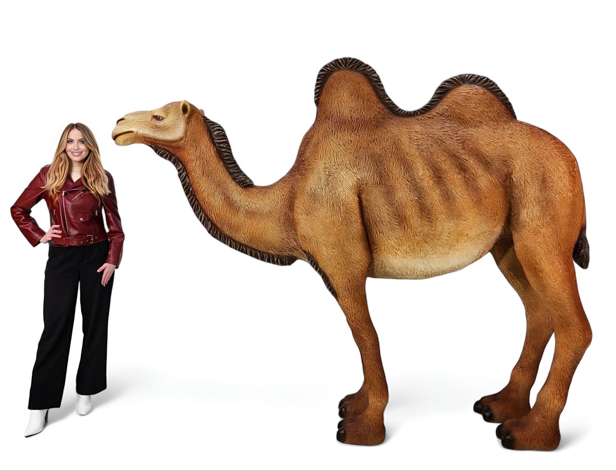 Large Camels Wallpaper