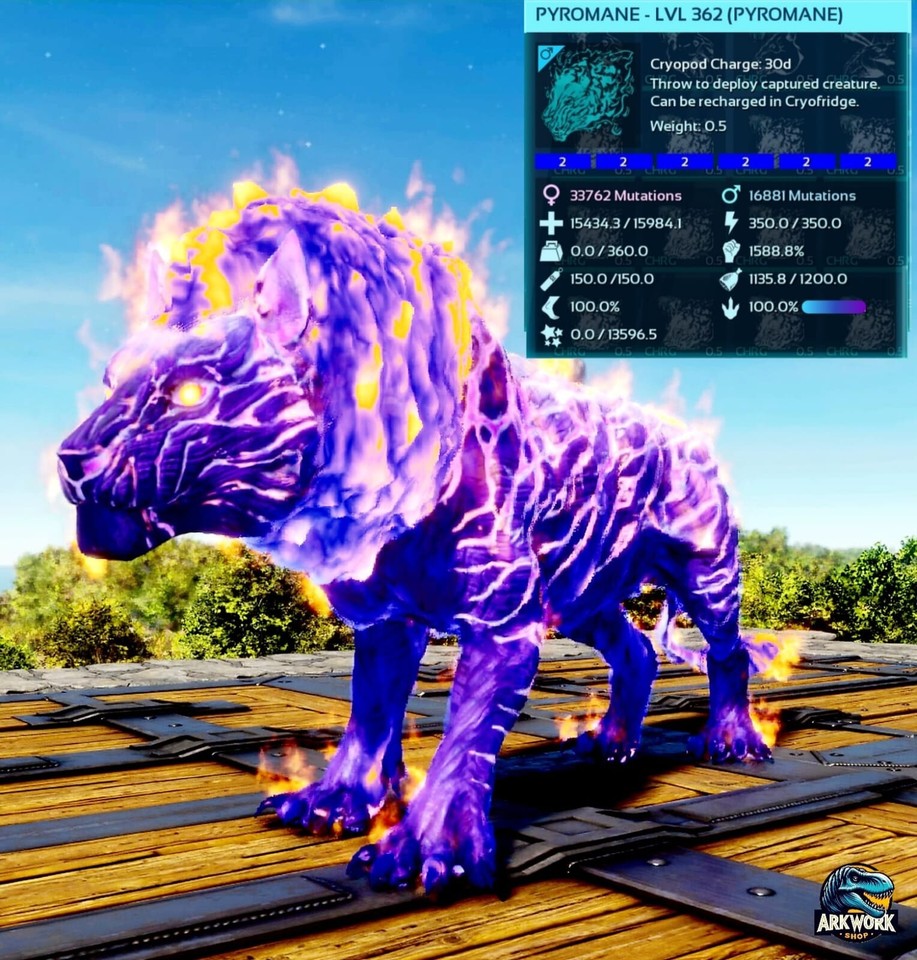 🦖ARK Survival Ascended Pyromane Top Stats PVE PS5/XBOX/PC | eBay