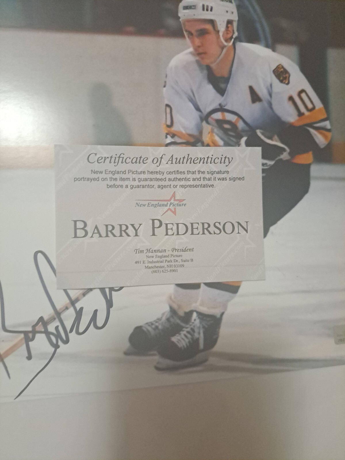 1 Autograph 8x10 Barry Pederson | eBay